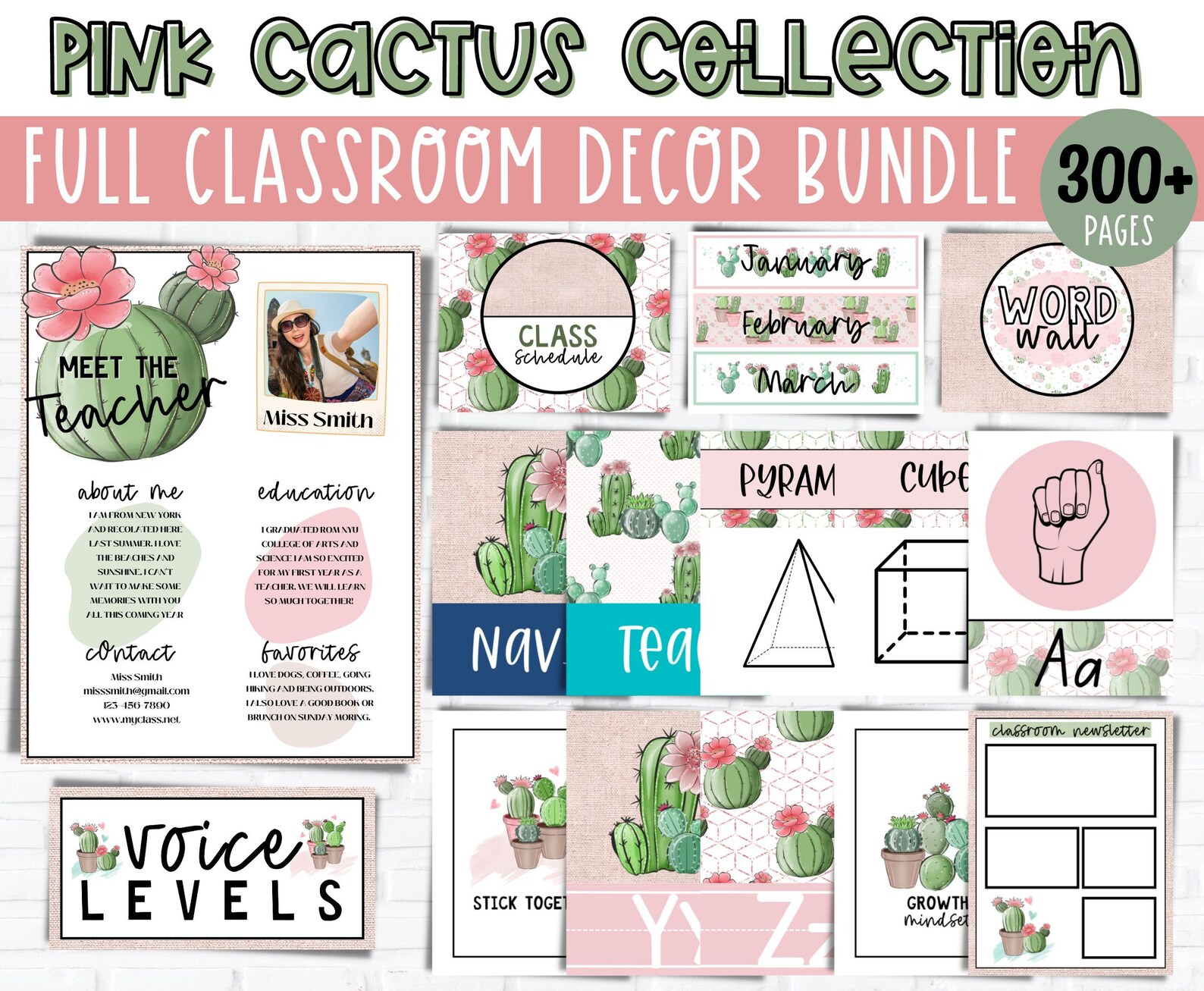 PINK Cactus CLASSROOM Decor Full Bundle Meet the Teacher | Shapes | Abc ...