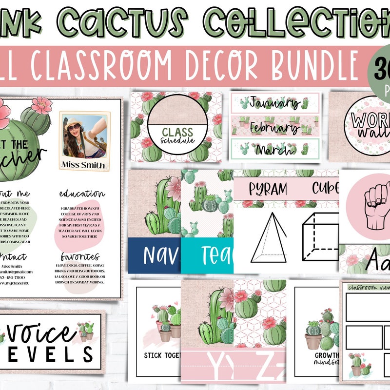 Classroom Cactus - Etsy