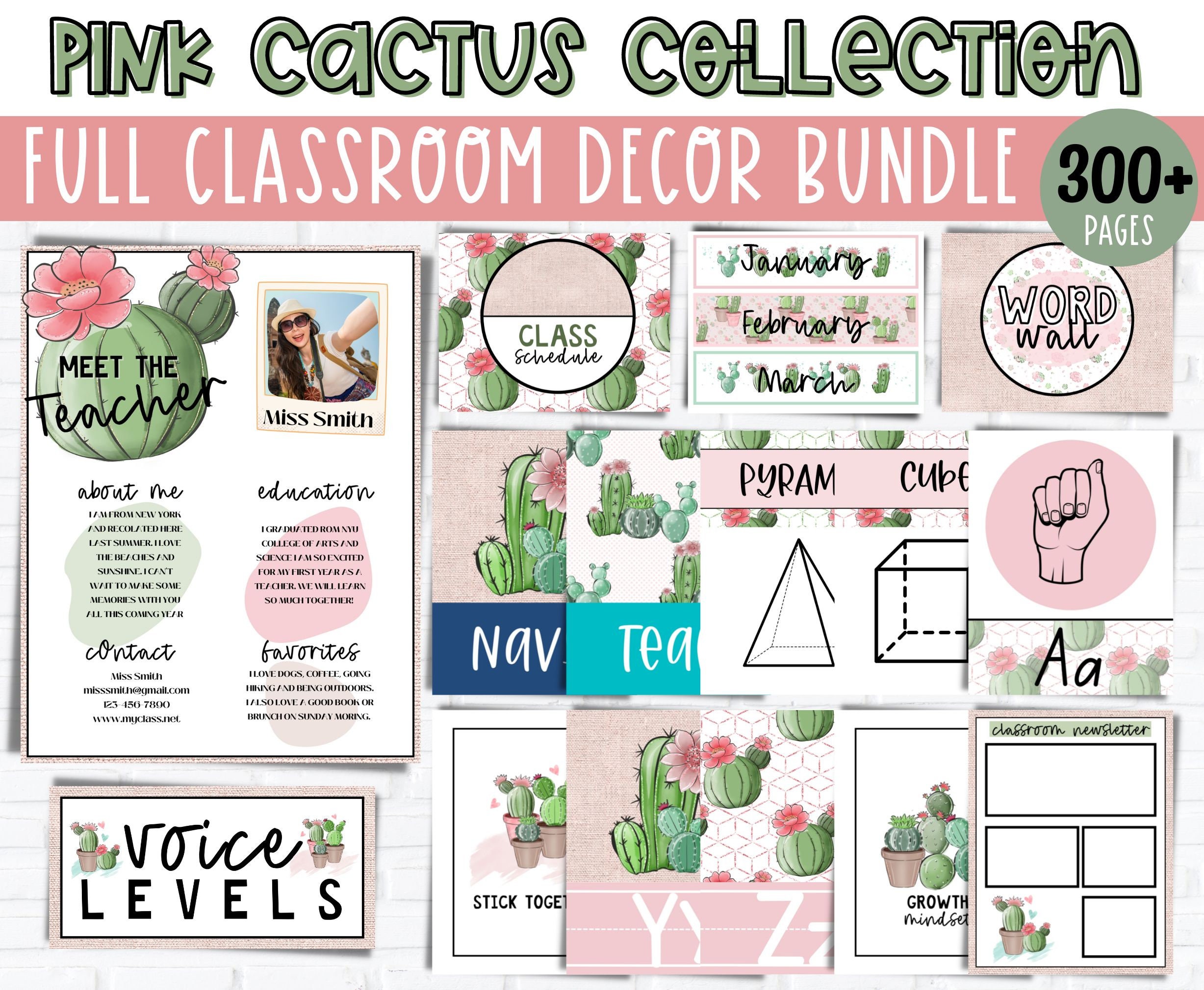 PINK Cactus CLASSROOM Decor Full Bundle Meet the Teacher - Etsy