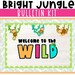 Wild About Learning Safari Classroom Bulletin | Monkey Summer Bulletin ...