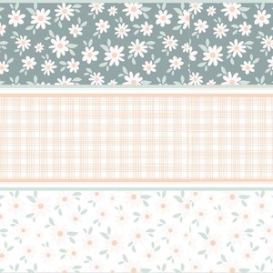 Floral Neutral Boho Daisy & Floral Bulletin Board Borders. Colorful ...