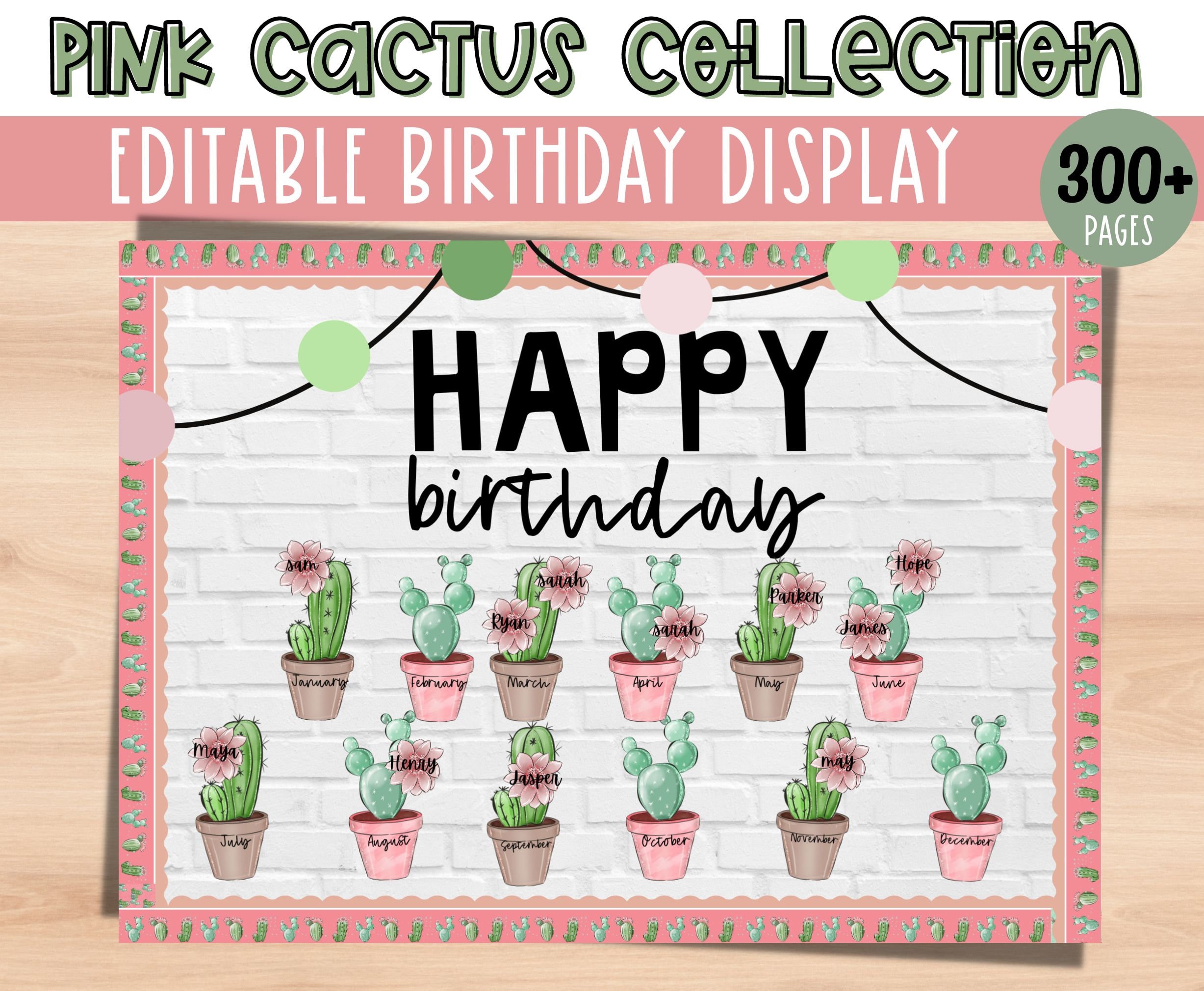PINK Cactus CLASSROOM Decor Full Bundle Meet the Teacher | Shapes | Abc ...