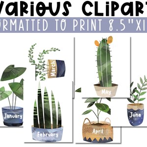 Boho Plants Classroom Birthday Display | Plant Theme Classroom Decor ...