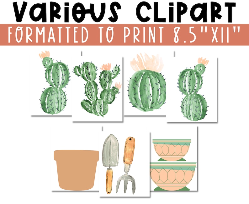 Boho Cacti Back to School Bulletin Board Kit | Easy and Modern ...