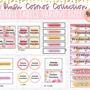 Pink & Floral Editable CLASSROOM DECOR Bundle | Elementary Classroom ...