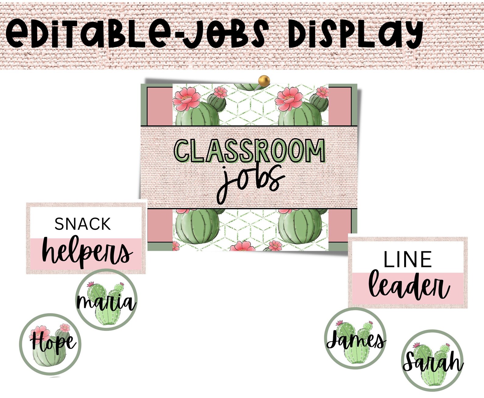 PINK Cactus CLASSROOM Decor Full Bundle Meet the Teacher | Shapes | Abc ...