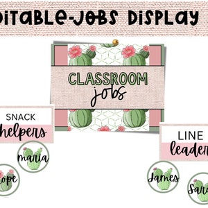 PINK Cactus CLASSROOM Decor Full Bundle Meet the Teacher | Shapes | Abc ...
