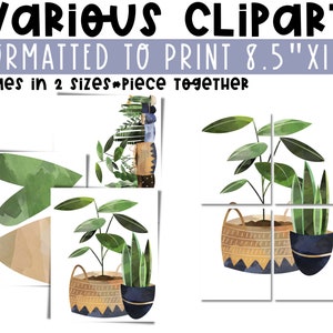 Boho Plants Growth Mindset Bulletin Kit | Modern Bulletin Kit | DIY ...