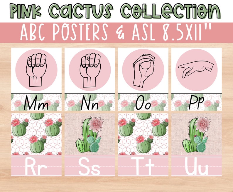 PINK Cactus CLASSROOM Decor Full Bundle Meet the Teacher - Etsy