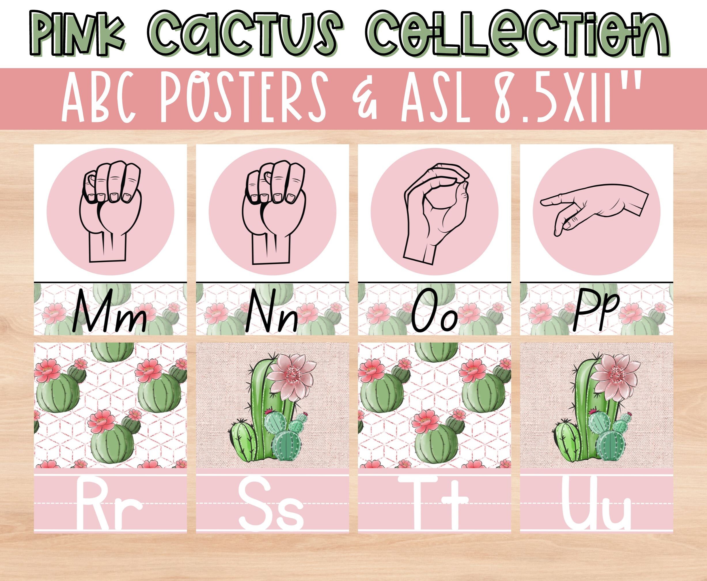 PINK Cactus CLASSROOM Decor Full Bundle Meet the Teacher | Shapes | Abc ...