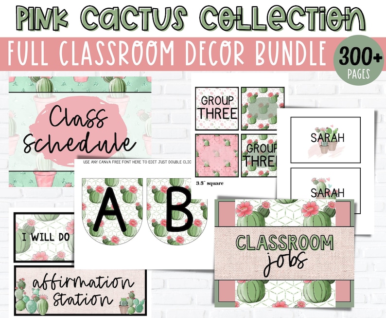 PINK Cactus CLASSROOM Decor Full Bundle Meet the Teacher | Shapes | Abc ...