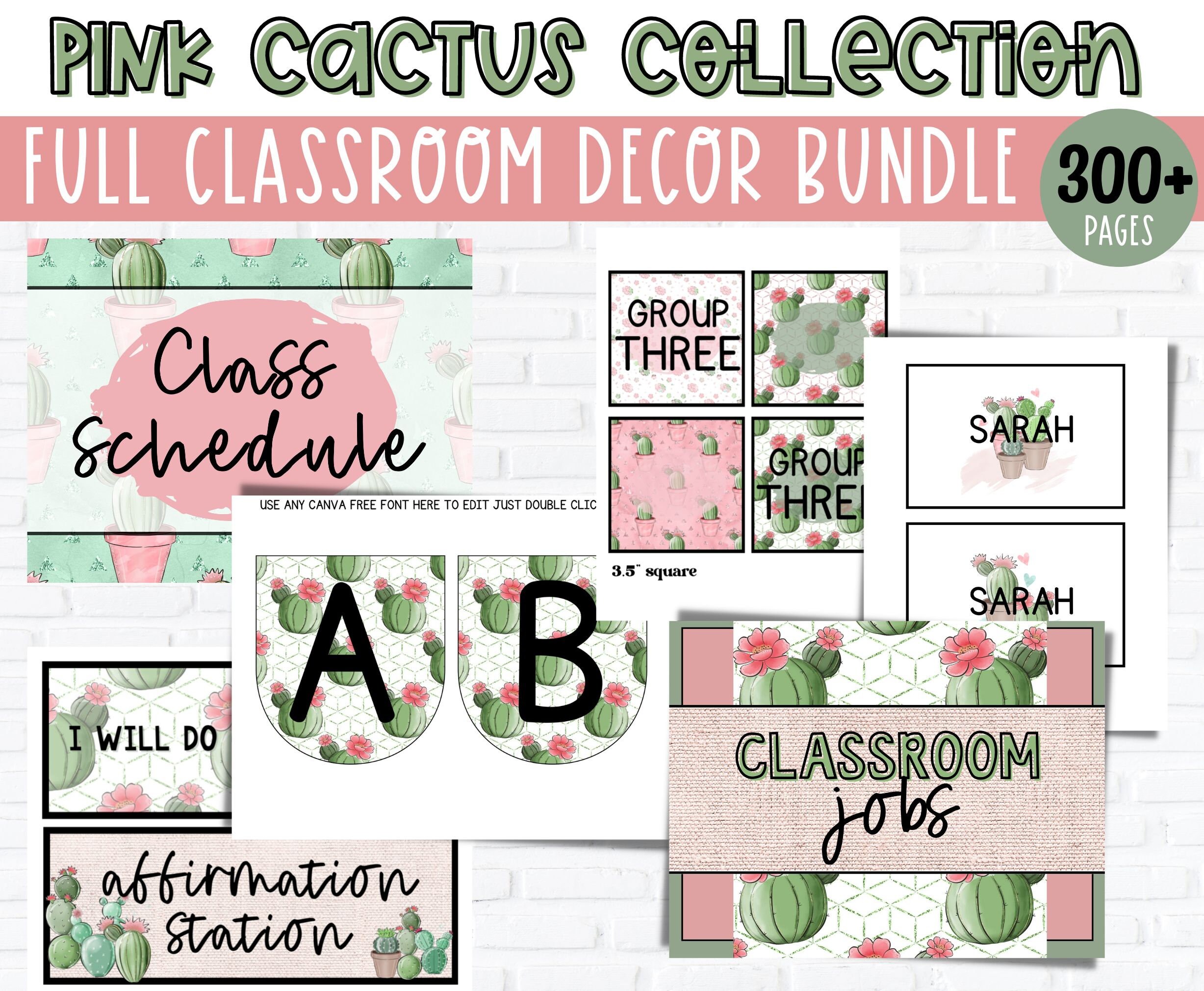 PINK Cactus CLASSROOM Decor Full Bundle Meet the Teacher | Shapes | Abc ...