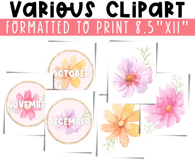 Flower Classroom Birthday Display Wildflower Classroom Decor - Etsy