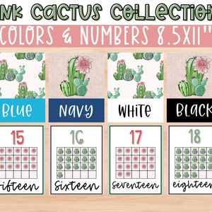PINK Cactus CLASSROOM Decor Full Bundle Meet the Teacher | Shapes | Abc ...