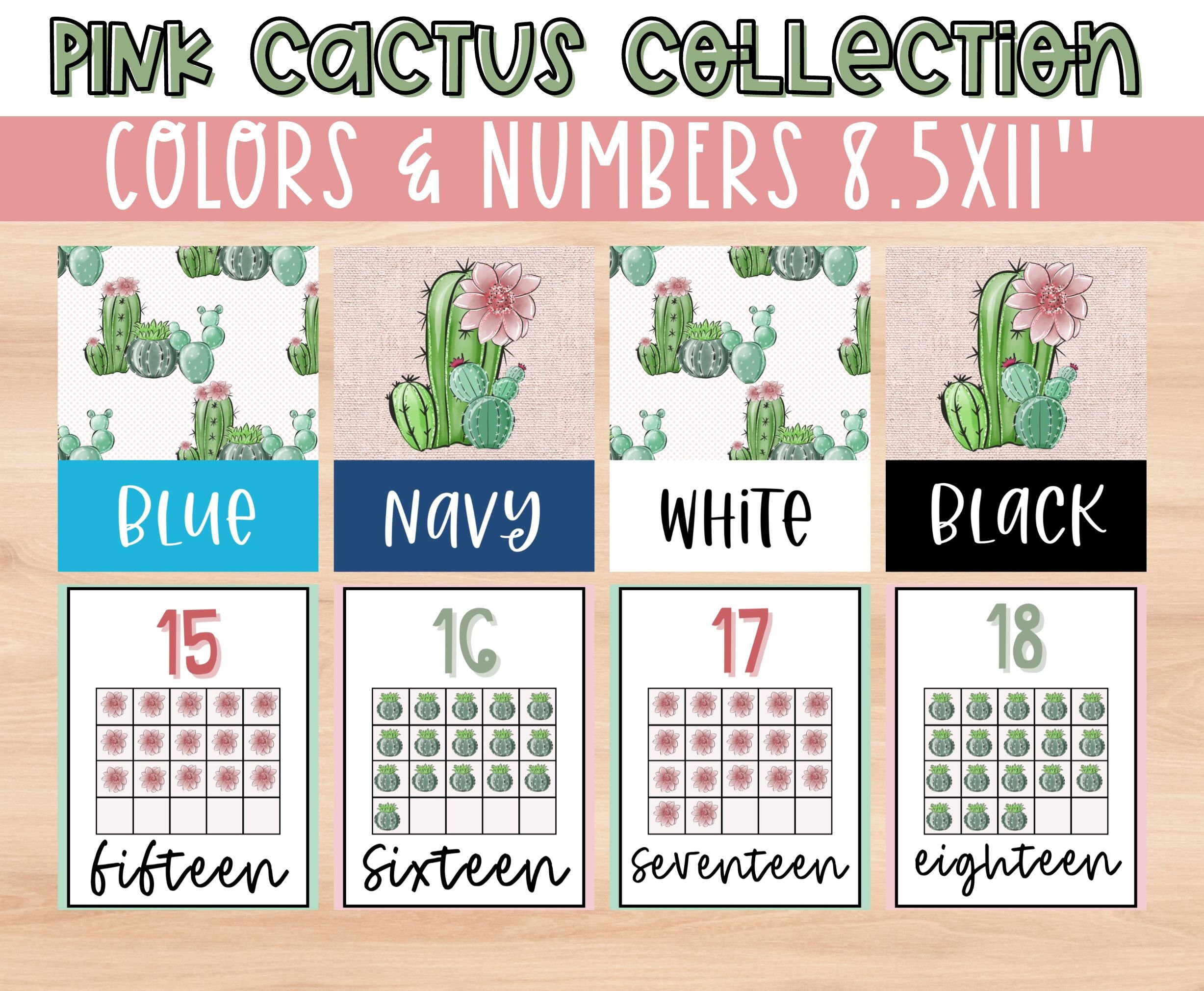 PINK Cactus CLASSROOM Decor Full Bundle Meet the Teacher - Etsy
