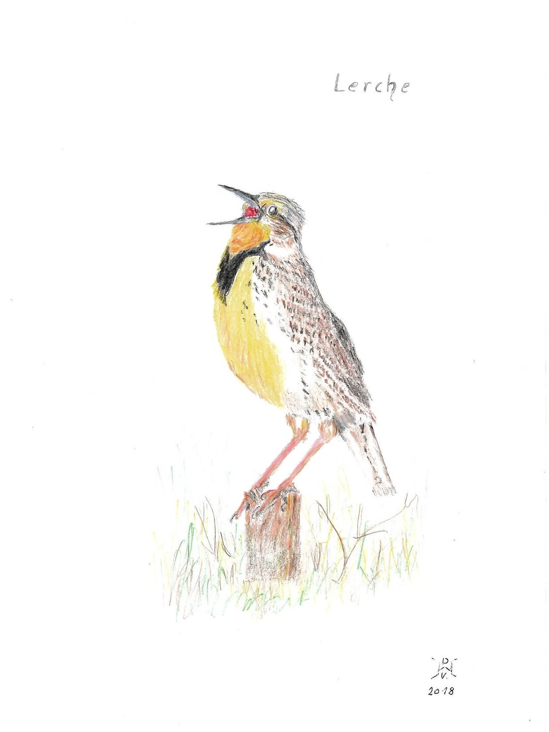 Bird Picture Lark Drawing Drawn A4 Format JPG File - Etsy