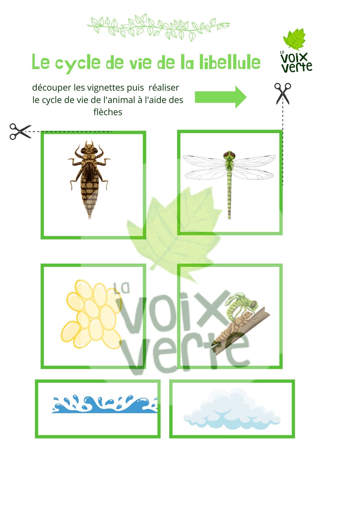 Educational Game Downloadable File Life Cycle Pack dragonfly ...