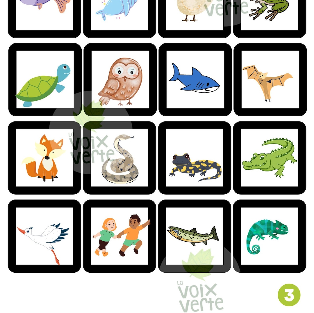 Clasificación de animales vertebrados, archivo digital para imprimir ...