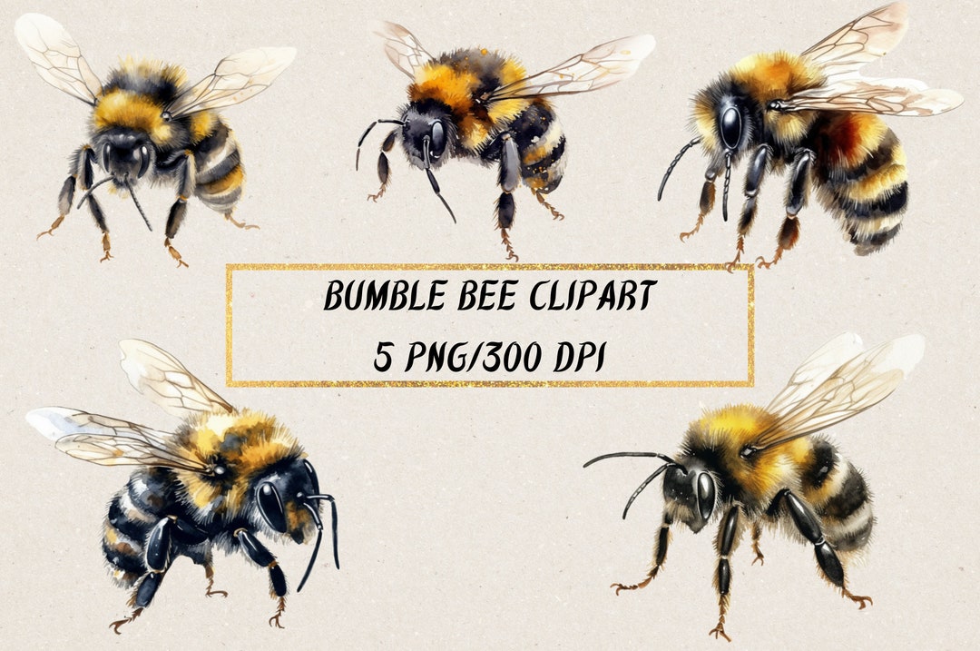Watercolor Bumble Bee Clipart, 5 Realistic Bee PNG Transparent ...