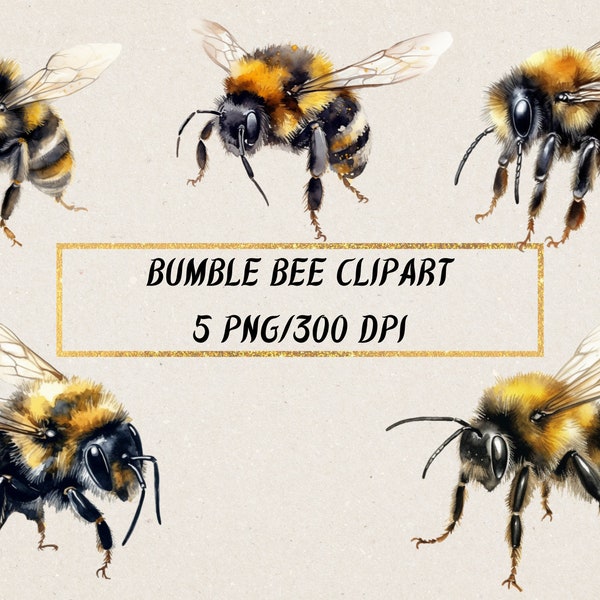 Bumble Bee Clipart - Etsy