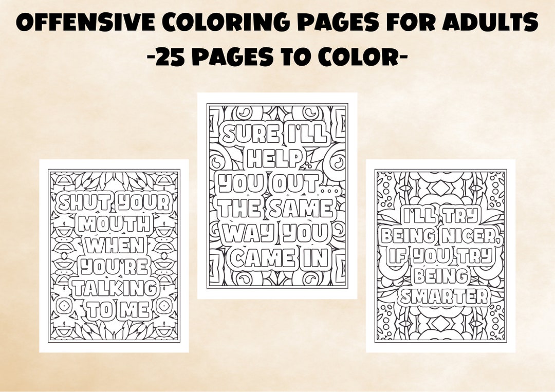 Offensive Coloring Book for Adults, Sarcastic Coloring Book, Insults ...