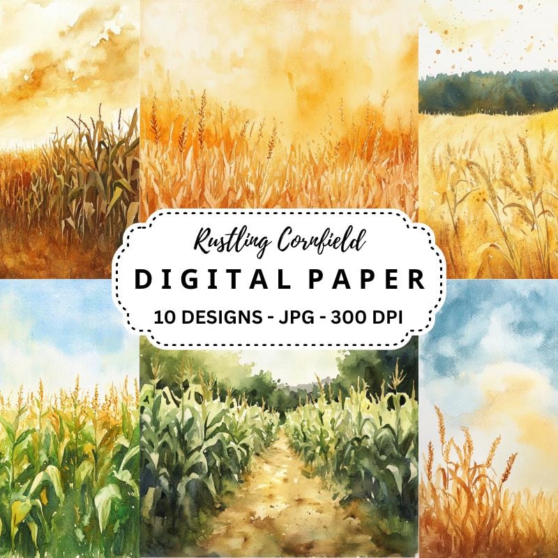 Cornfield or Corn Field - Etsy