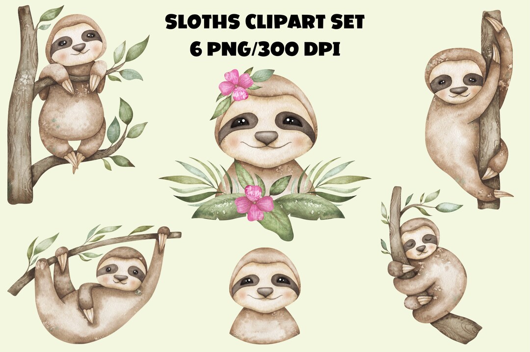 Adorable Sloths Watercolor Clipart Set, 6 Baby Sloth PNG Bundle ...