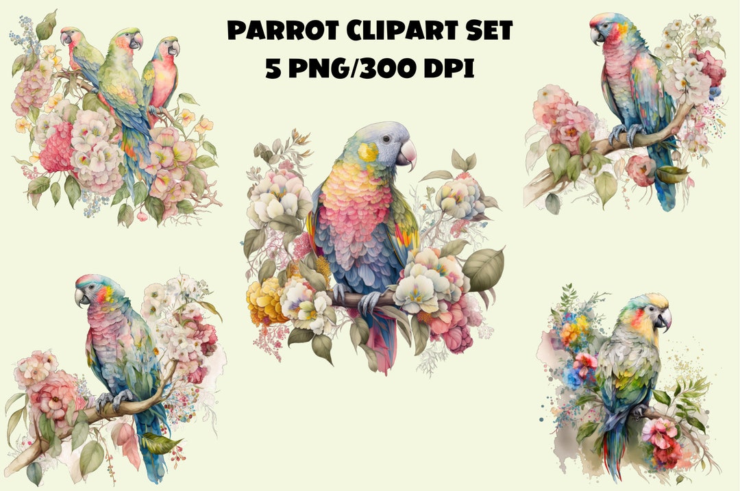 Watercolor Parrot Clipart: Tropical Floral Birds PNG Bundle (digital ...