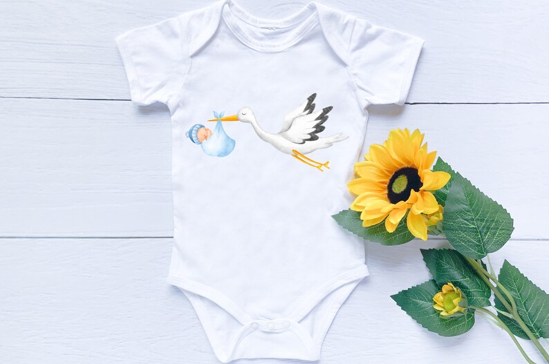 Stork Clipart Set Baby Boy Watercolor PNG Bundle Baby Shower - Etsy