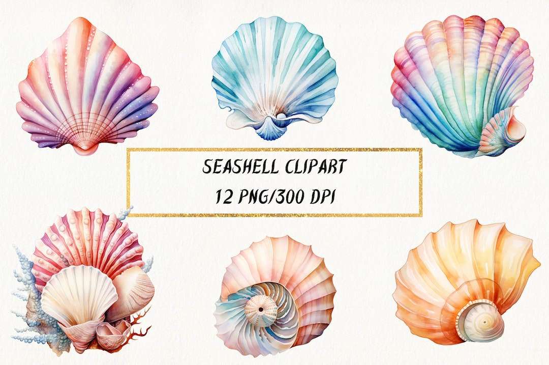 Watercolor Seashell Clipart, Coral Clipart, Shell Illustrations PNG ...