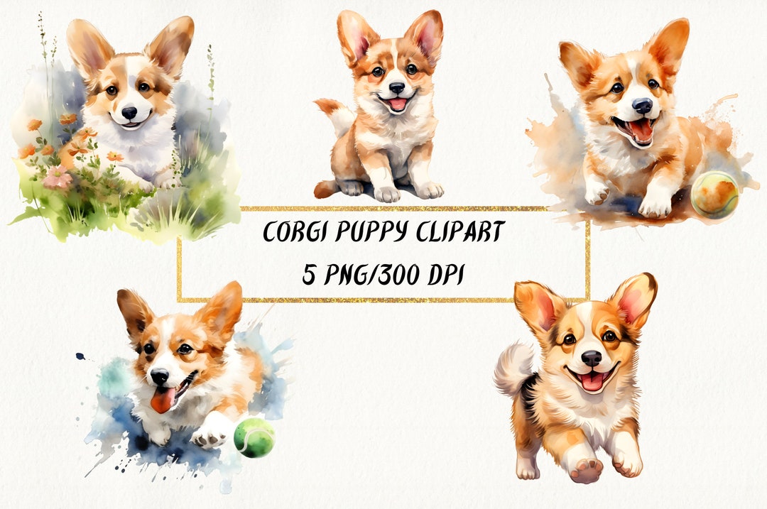 Watercolor Corgi Puppy Clipart, Adorable Corgis PNG Bundle for ...