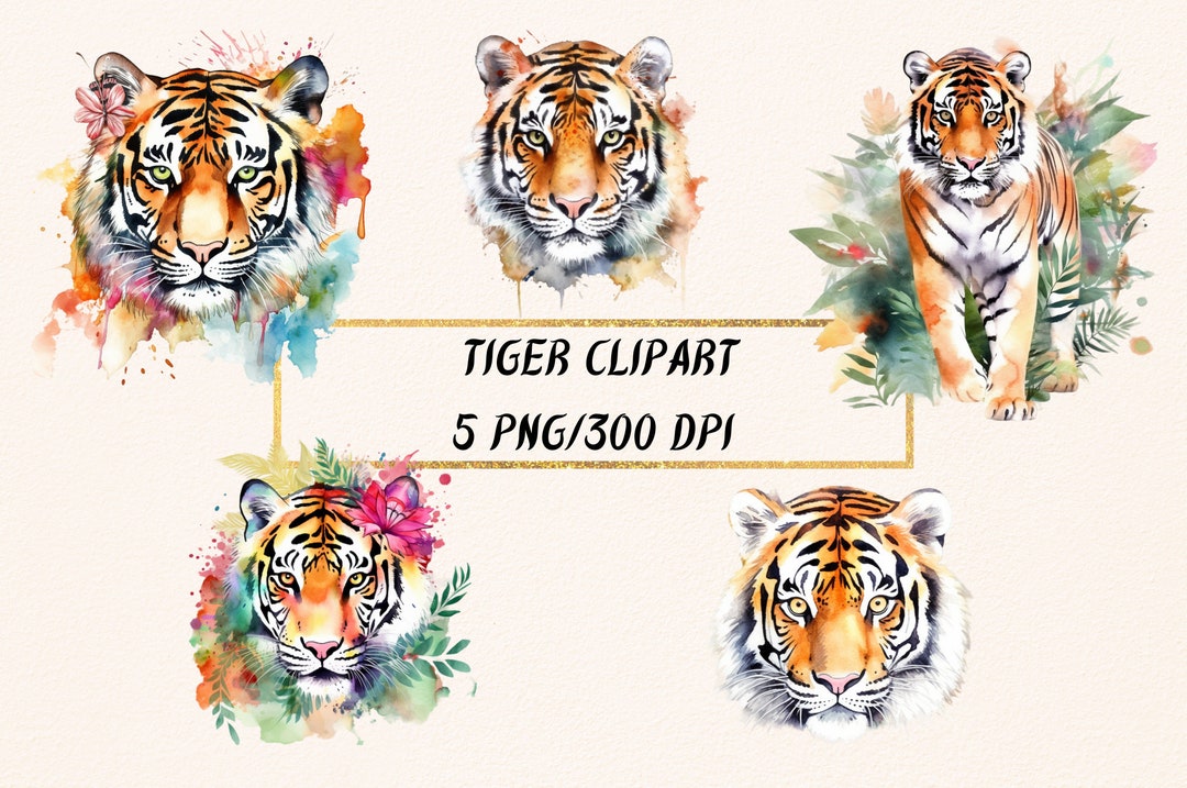 Watercolor Tiger Clipart, Tiger PNG, Safari Clipart, 5 Tigers Designs ...