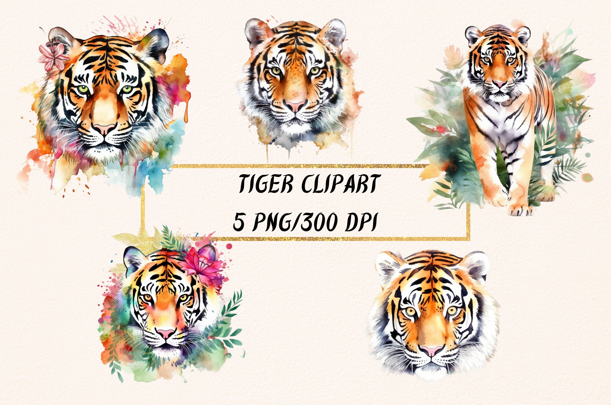 Watercolor Tiger Clipart Tiger PNG Safari Clipart 5 Tigers - Etsy