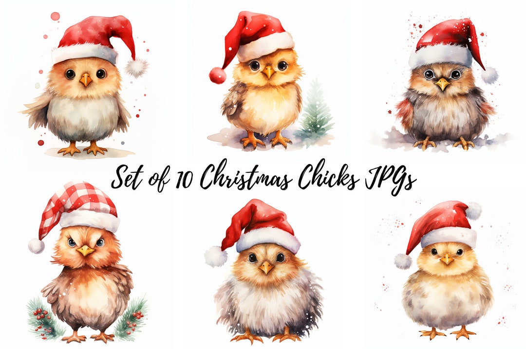 Christmas Chicks Watercolor Clipart, High Quality Jpgs, Planner Clipart ...