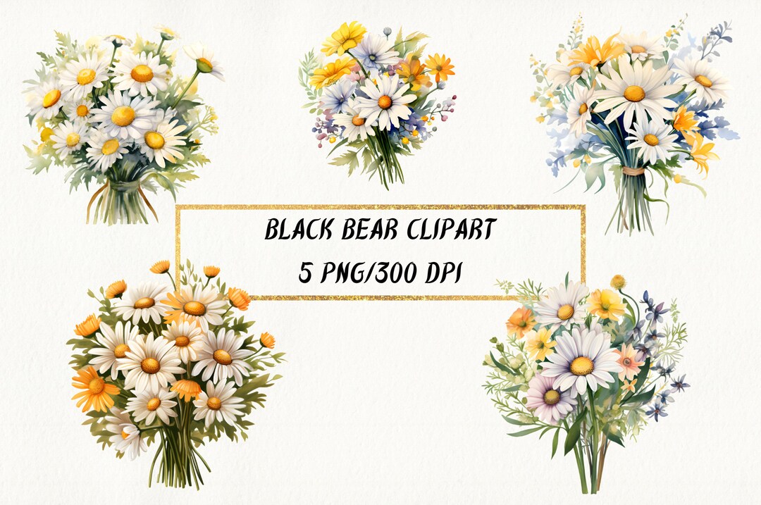 Watercolor Daisy Bouquet Clipart: Wildflower PNG Bundle (commercial Use ...