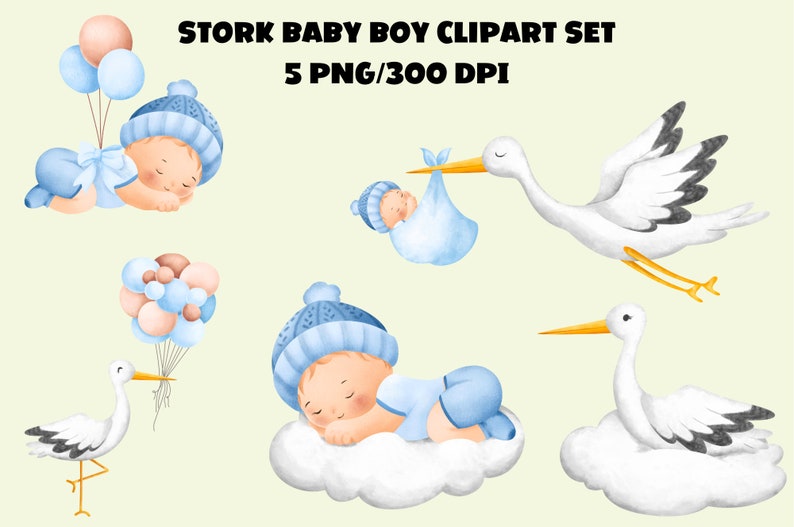 Stork Clipart Set Baby Boy Watercolor PNG Bundle Baby Shower - Etsy