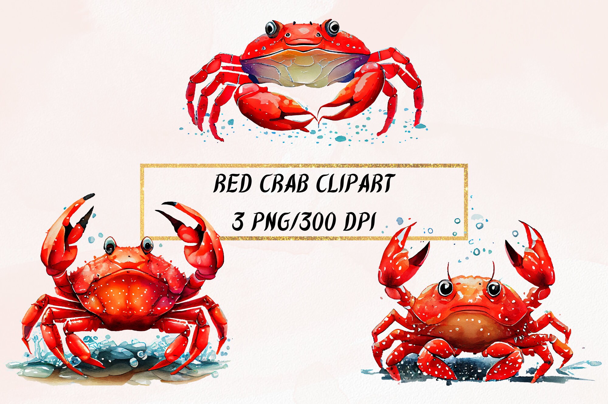 Watercolor Red Crab Clipart 3 Cute Crustacean Character PNG - Etsy