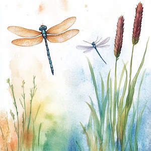 Cattails and Dragonflies Landscape Clipart, Watercolor Backgrounds, 10 ...