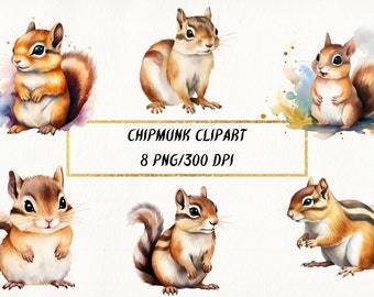 Cute Chipmunks Clipart Bundle Pack of 24 Images Woodland Baby Animals ...