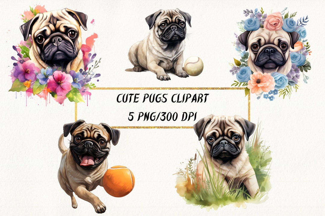 Watercolor Pug Clipart, Dog Portrait PNG Bundle (digital Download) - Etsy