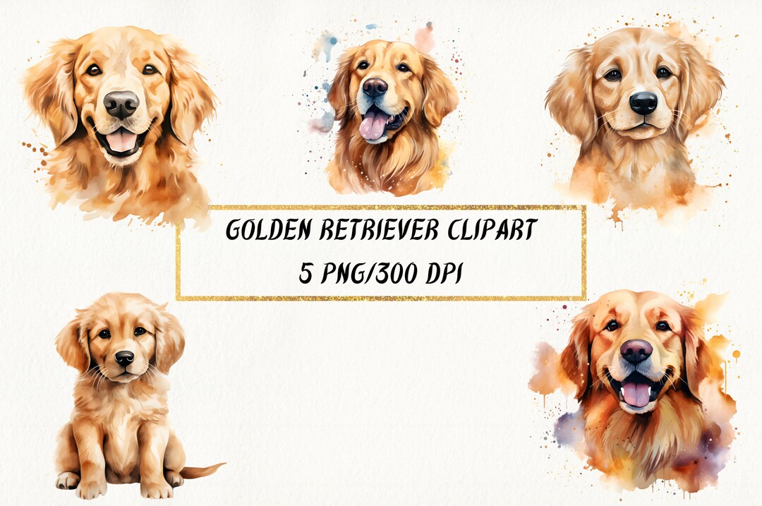 Watercolor Golden Retriever Clipart, Dog Puppy PNG Bundle (commercial ...