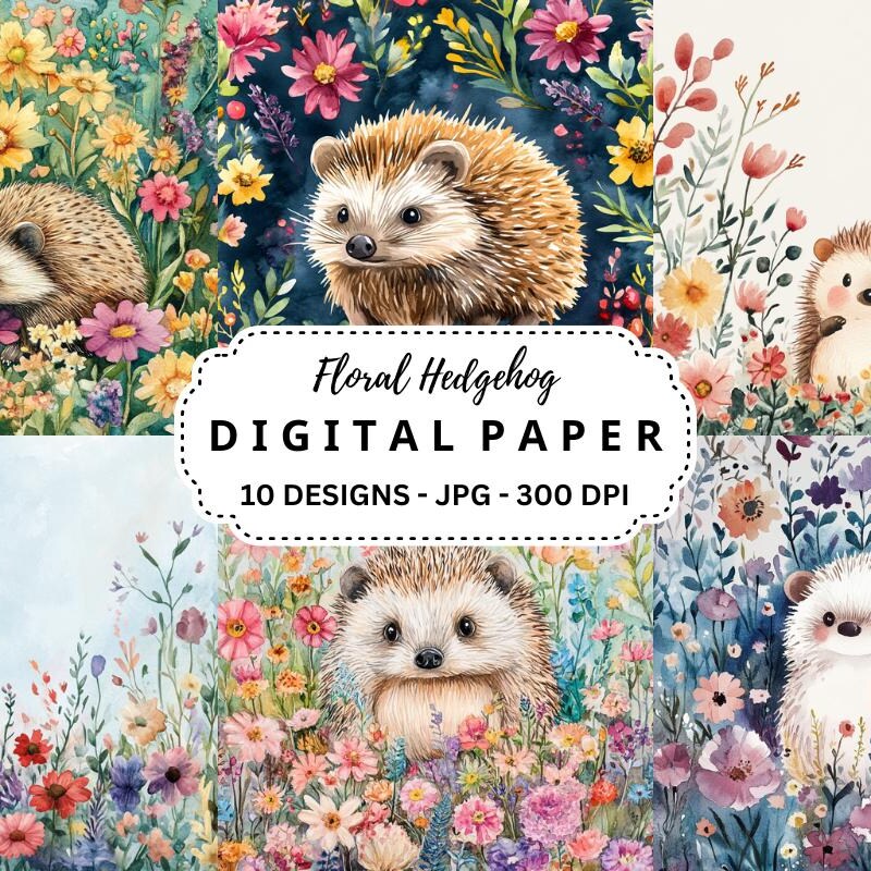 Hedgehog Journal - Etsy