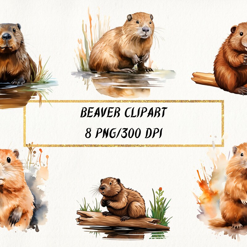 Beaver Print - Etsy