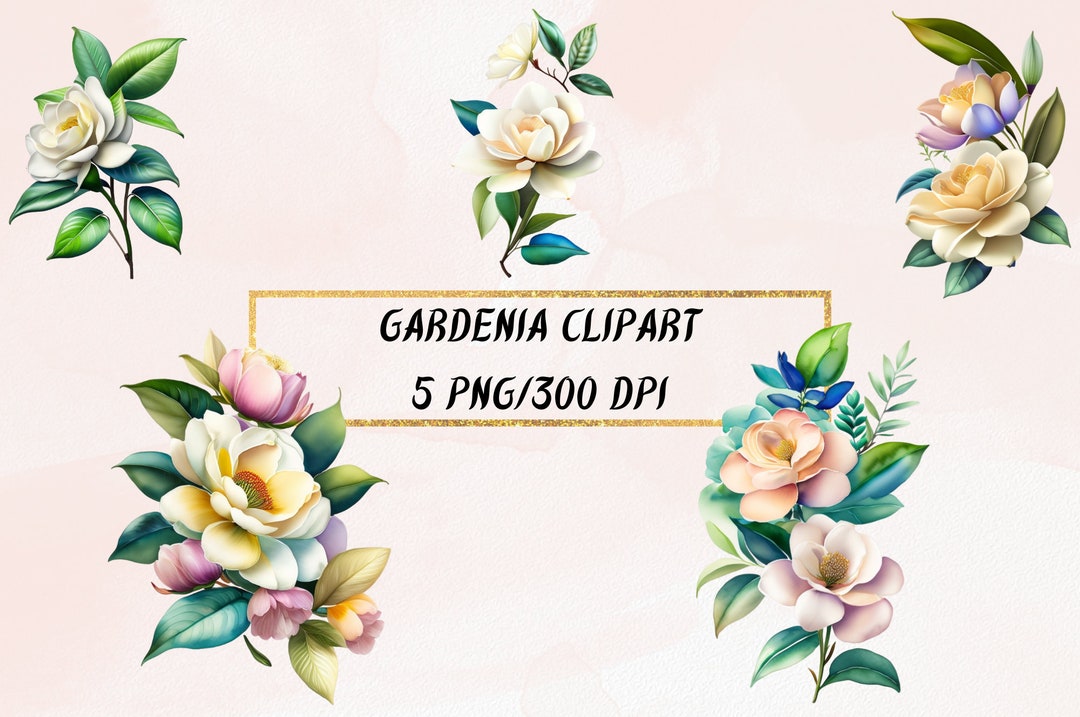 Watercolor Gardenia Clipart, Wedding Spring Flowers Clipart, Gardenia ...