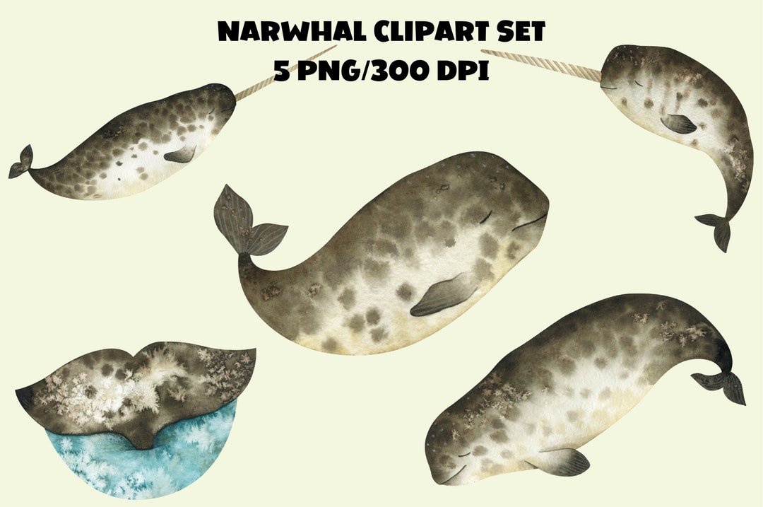 Narwhal Clipart Set, Baby Narwhal Watercolor PNG Transparent ...