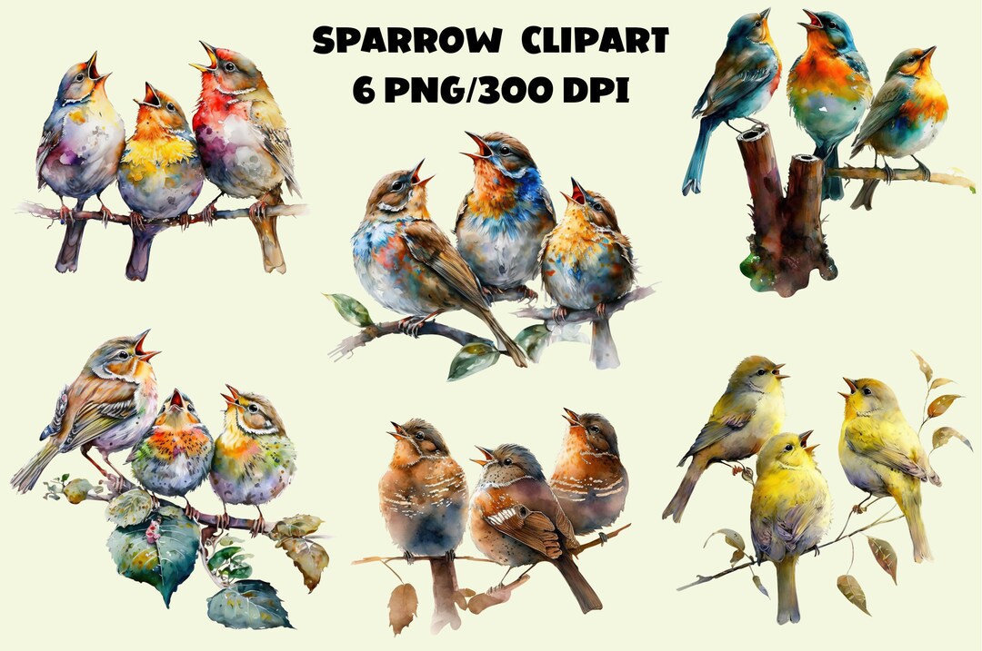 Sparrow Watercolor Clipart Set, PNG Bundle, 6 Pack PNG Transparent ...