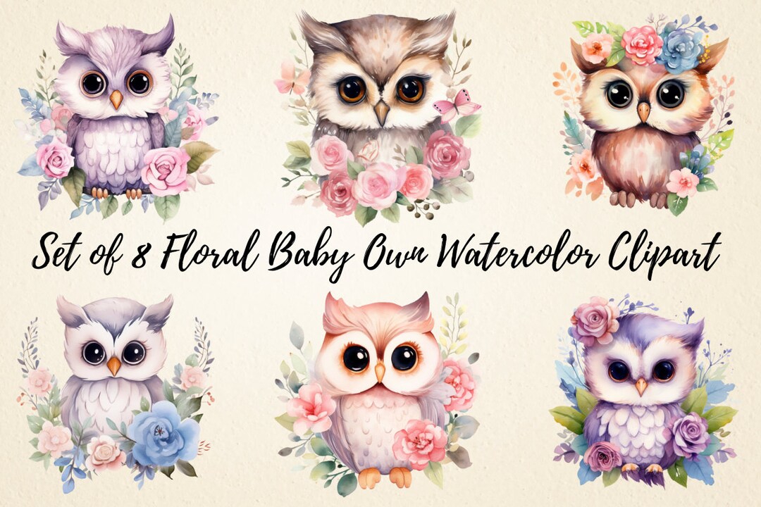 Floral Baby Owl Clipart, Watercolor Adorable Baby Owls PNG ...