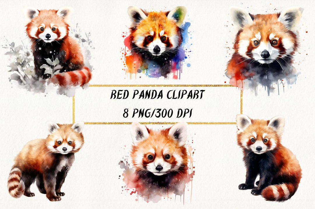 Watercolor Red Panda Clipart Cute Red Panda PNG Bundle Red - Etsy