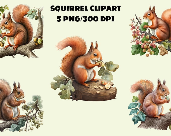 3D Squirrel Clipart 11 High-quality Jpgs Clipart Bundle Digital Paper ...