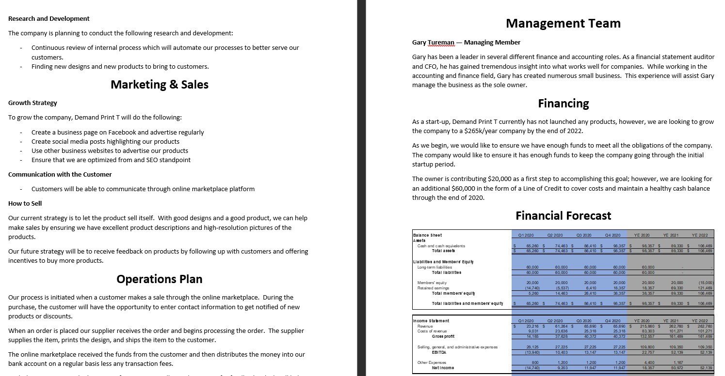 Startup Business Plan Bundle | Word, Powerpoint, and Financial ...
